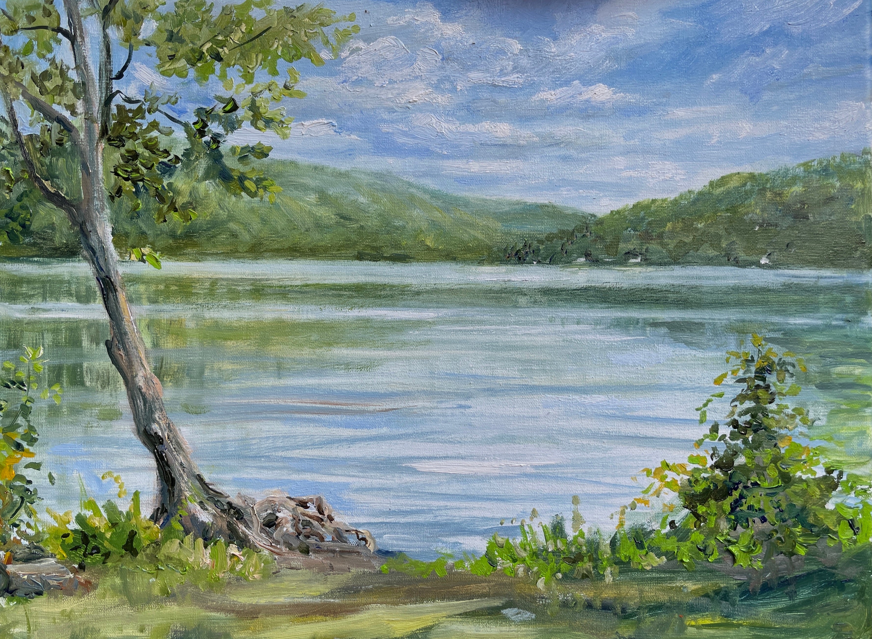 Squantz Pond Tree with Roots - original oil painting – Medeiros Fine Art